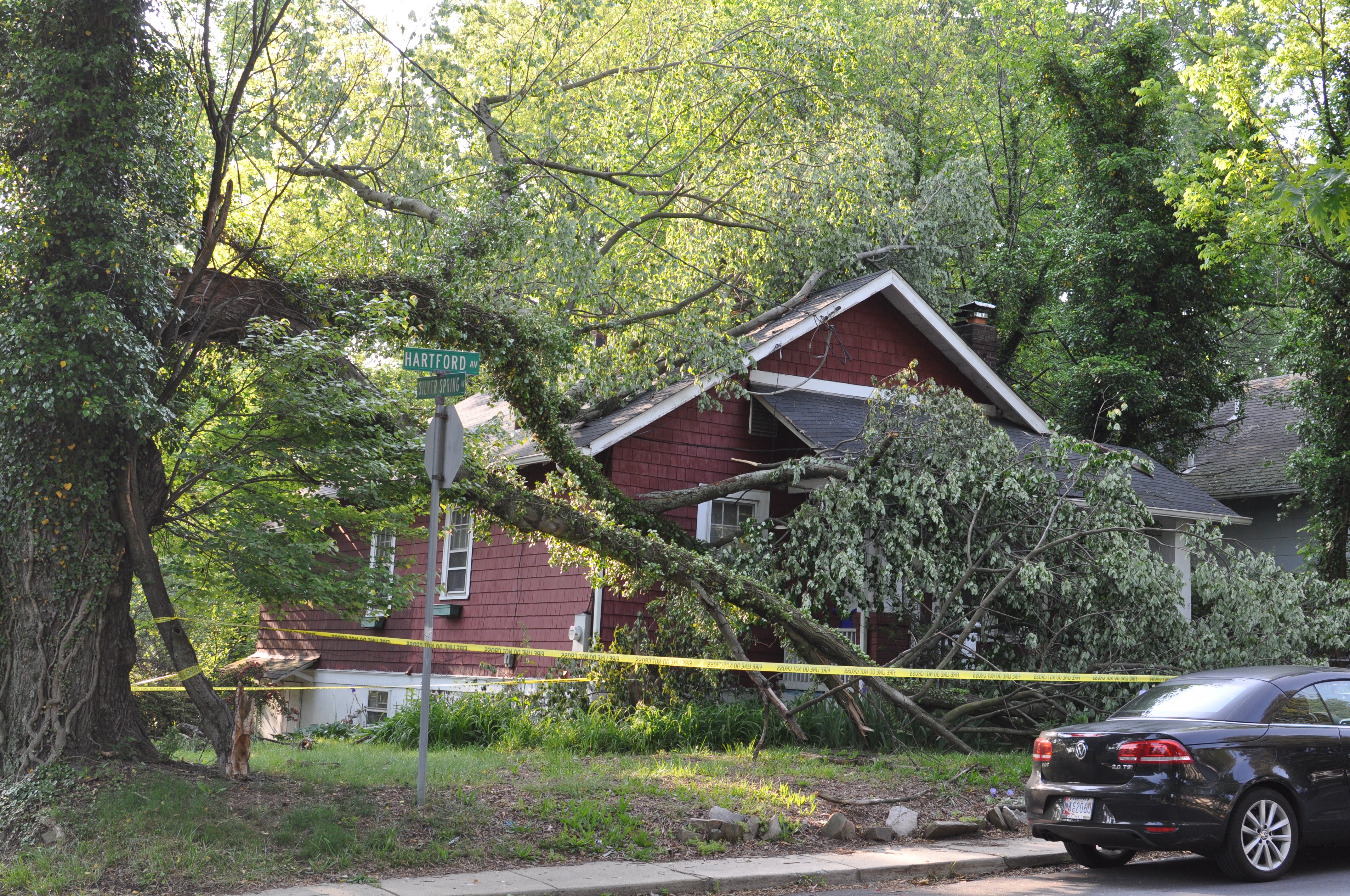 What To Do When a Tree Falls on Your House - Ed's Tree Service